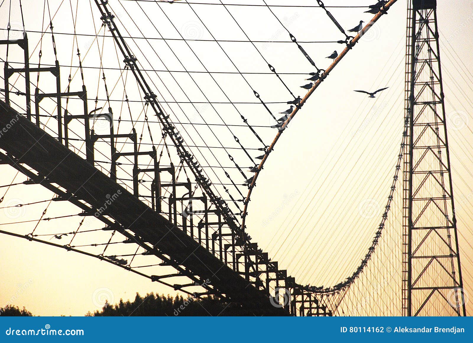 The Bridge with pigeons stock photo. Image of building - 80114162