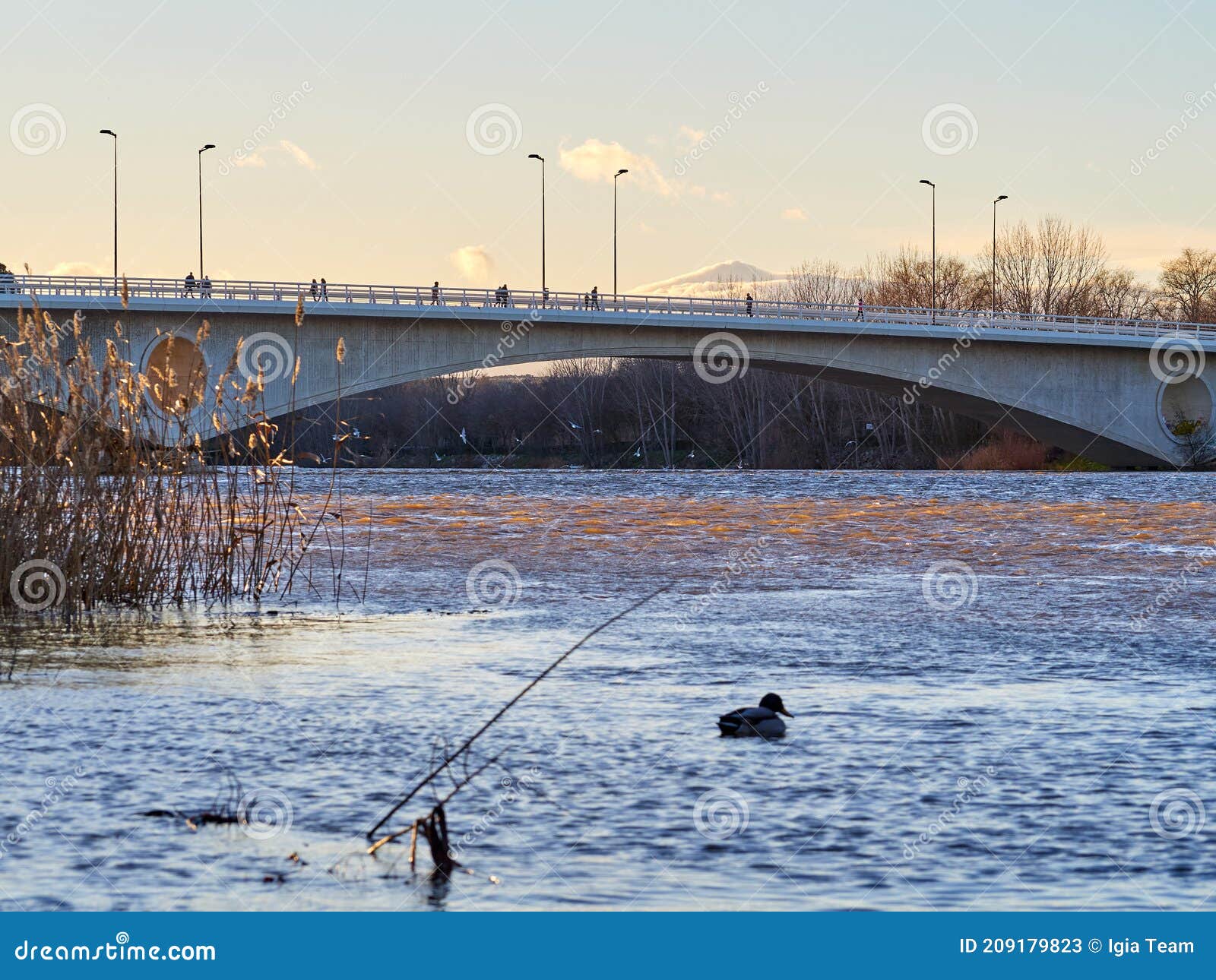 Bridge of the Poets of Zamora at Dusk Stock Image - Image of grass ...