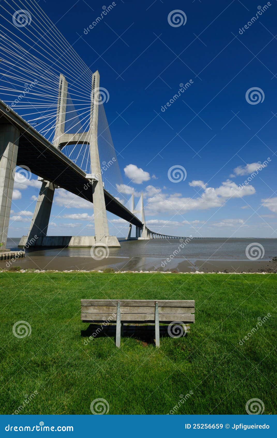Bridge Portrait stock image. Image of margins, nature - 25256659