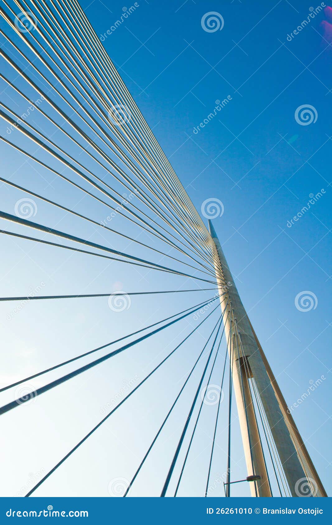 Bridge Pylon And Rope Wires Stock Photography | CartoonDealer.com #10330700
