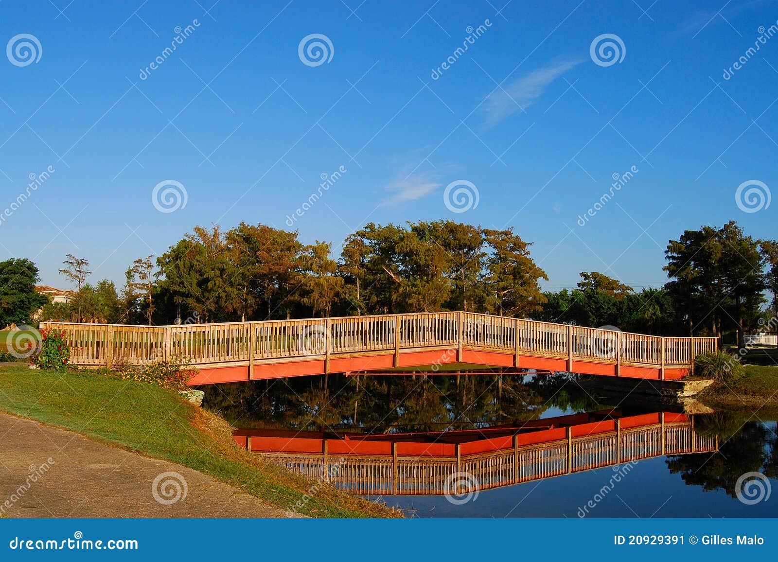 Bridge Reflection stock image. Image of outdoors, nature - 20929391