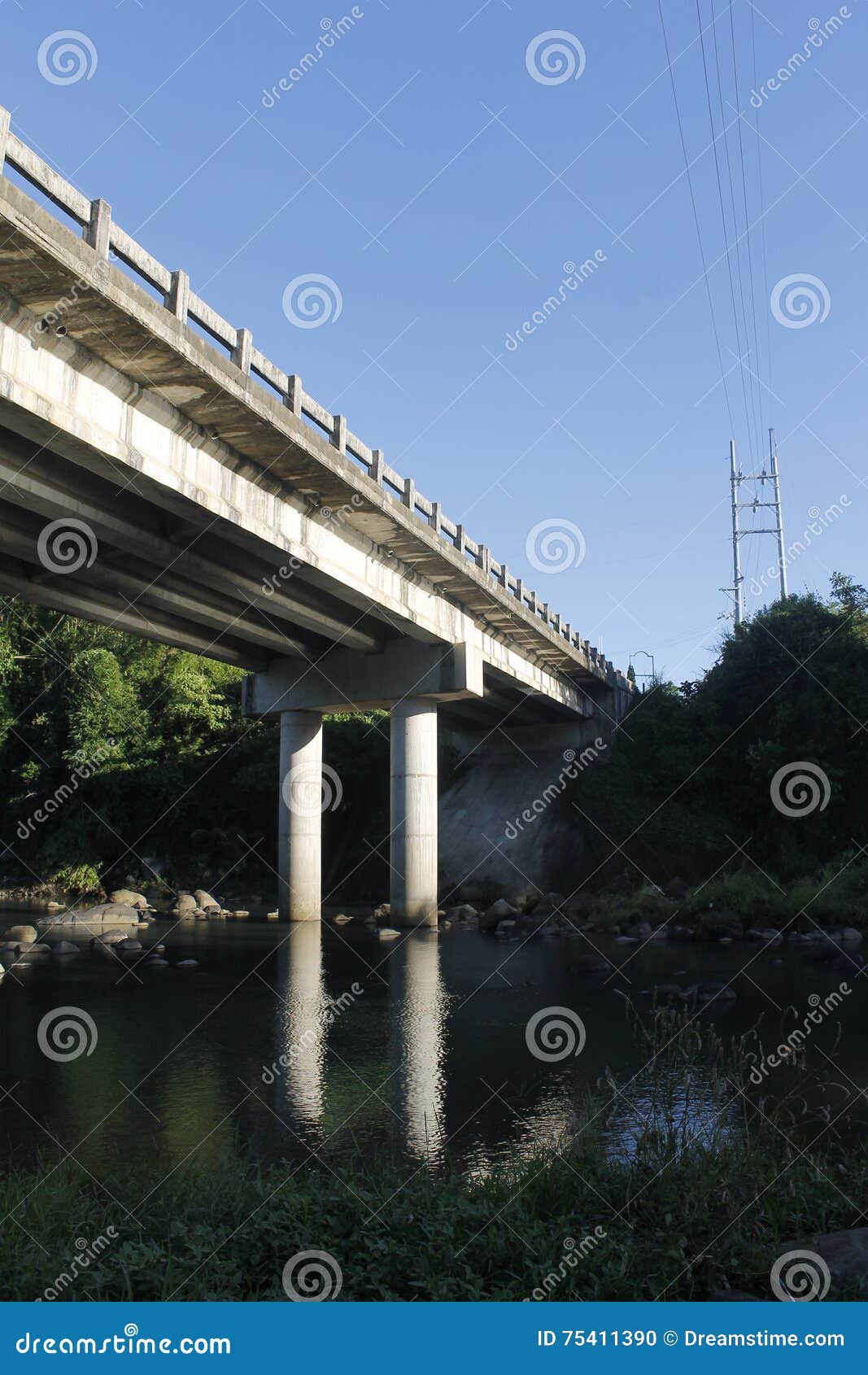 Bridge Reflection stock photo. Image of green, reflection - 75411390