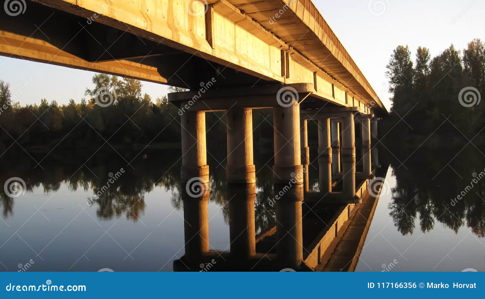 Bridge Reflection stock photo. Image of park, isolated - 117166356