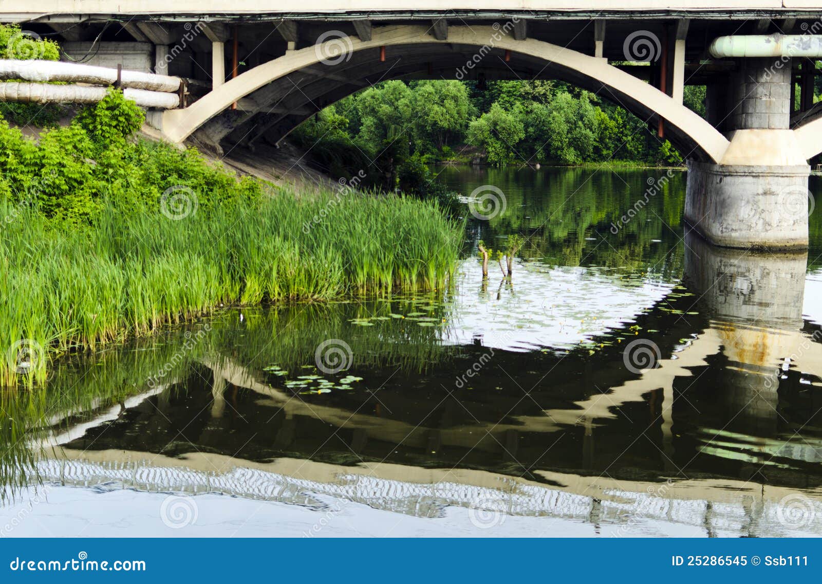 Bridge Reflection in the River Stock Image - Image of coastal, bridge ...