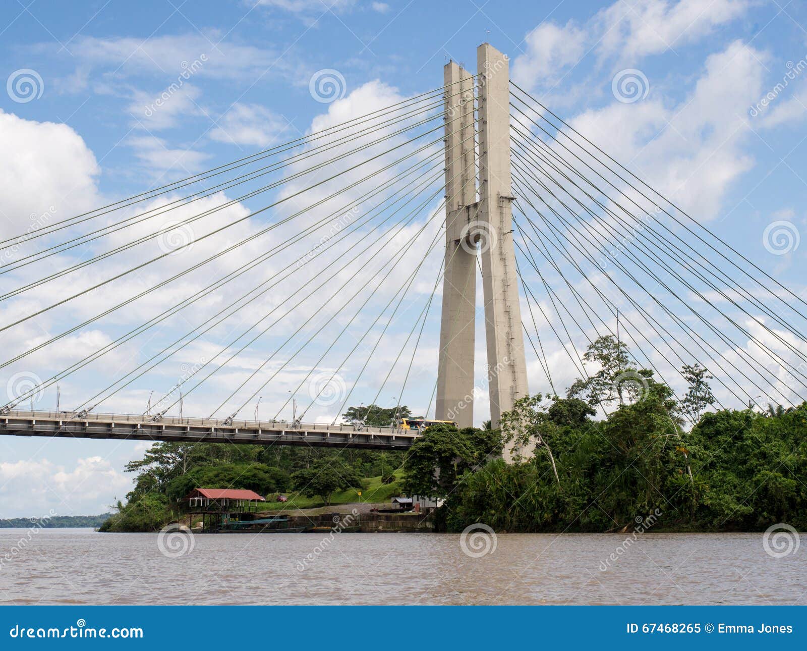 Bridge on the Rio Napo, Near Coca, Ecuador Stock Image - Image of ...