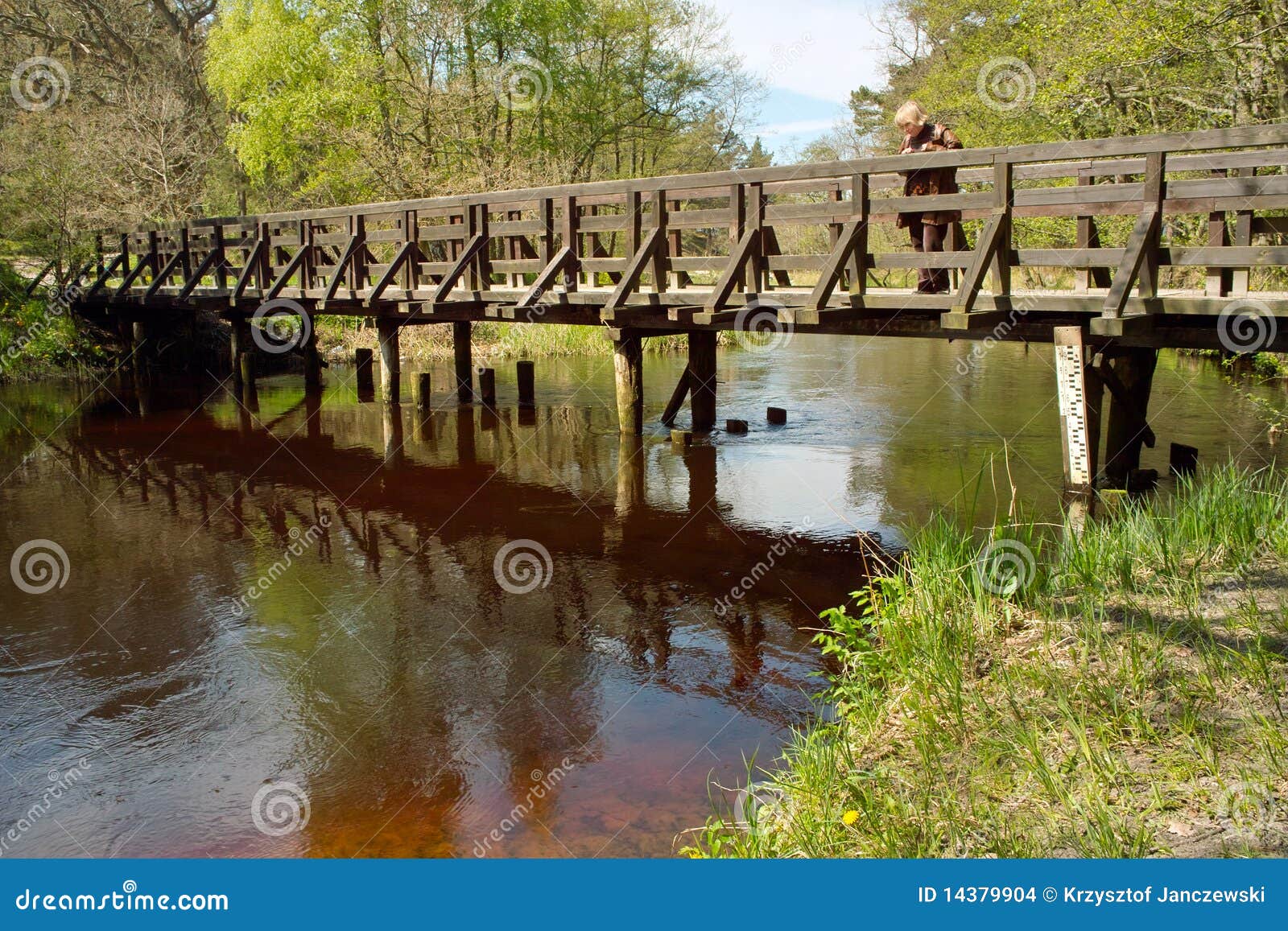 Bridge on the river. stock photo. Image of peace, coastline - 14379904