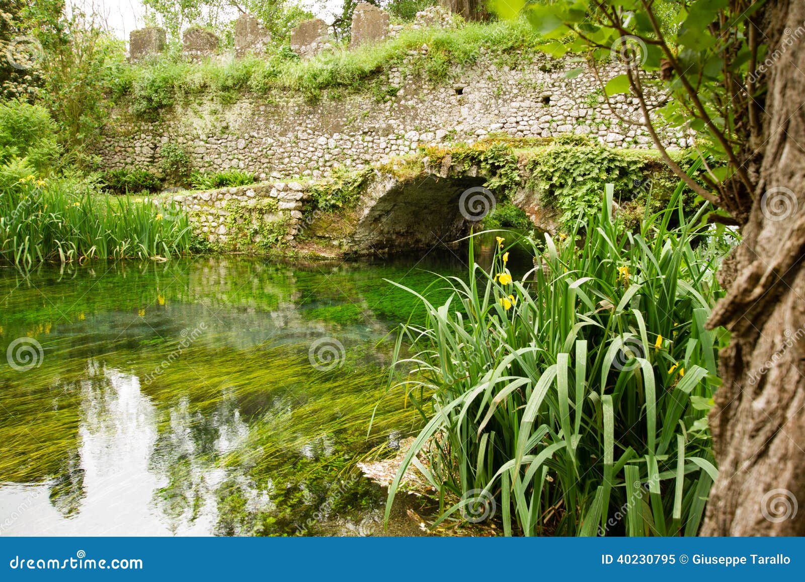 Bridge and River at Garden of Nympha Stock Image - Image of ninfa ...