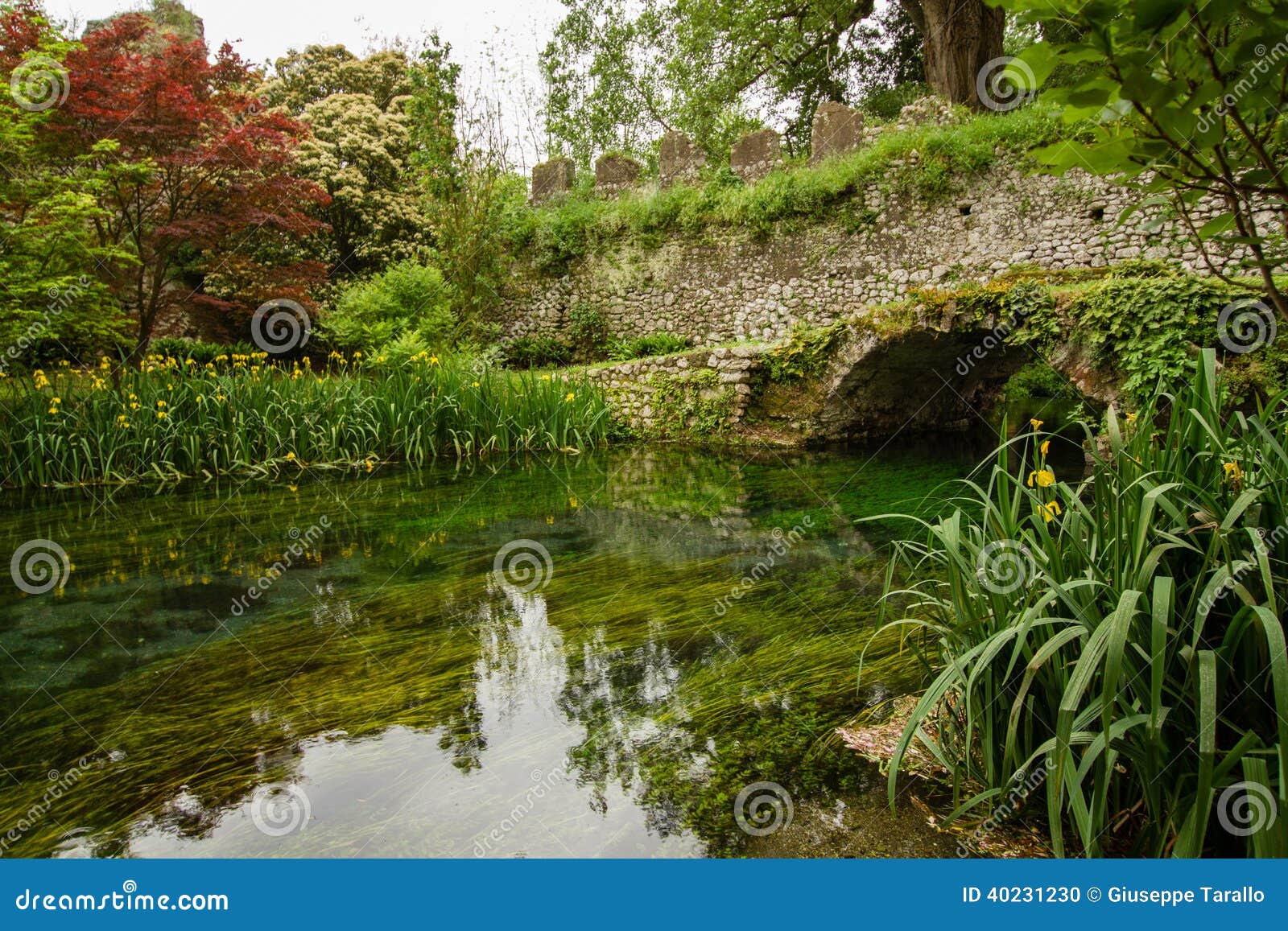 Bridge and River at Garden of Nympha Stock Photo - Image of gardens ...