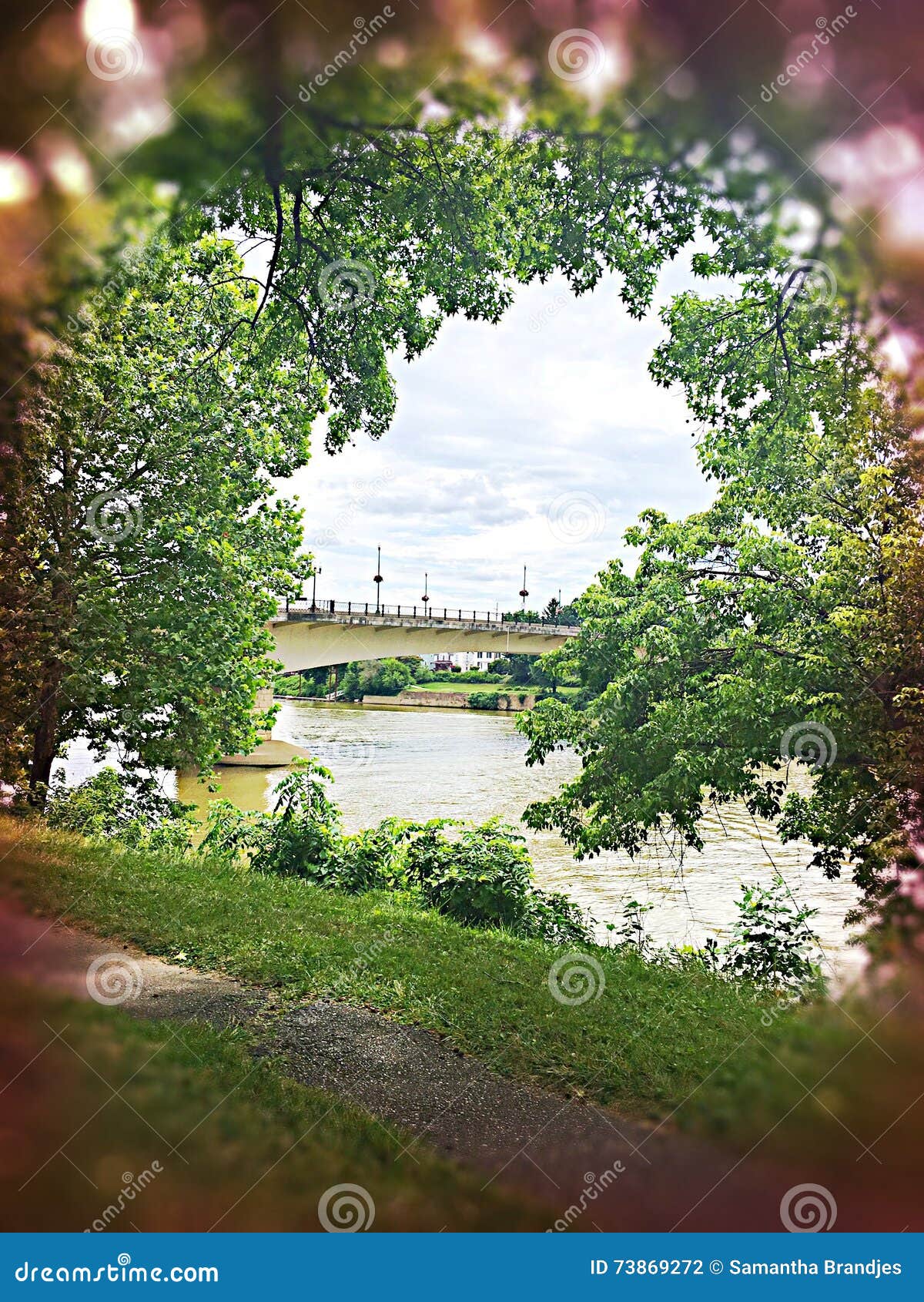 Bridge and River through Trees Stock Photo - Image of bridge, view ...