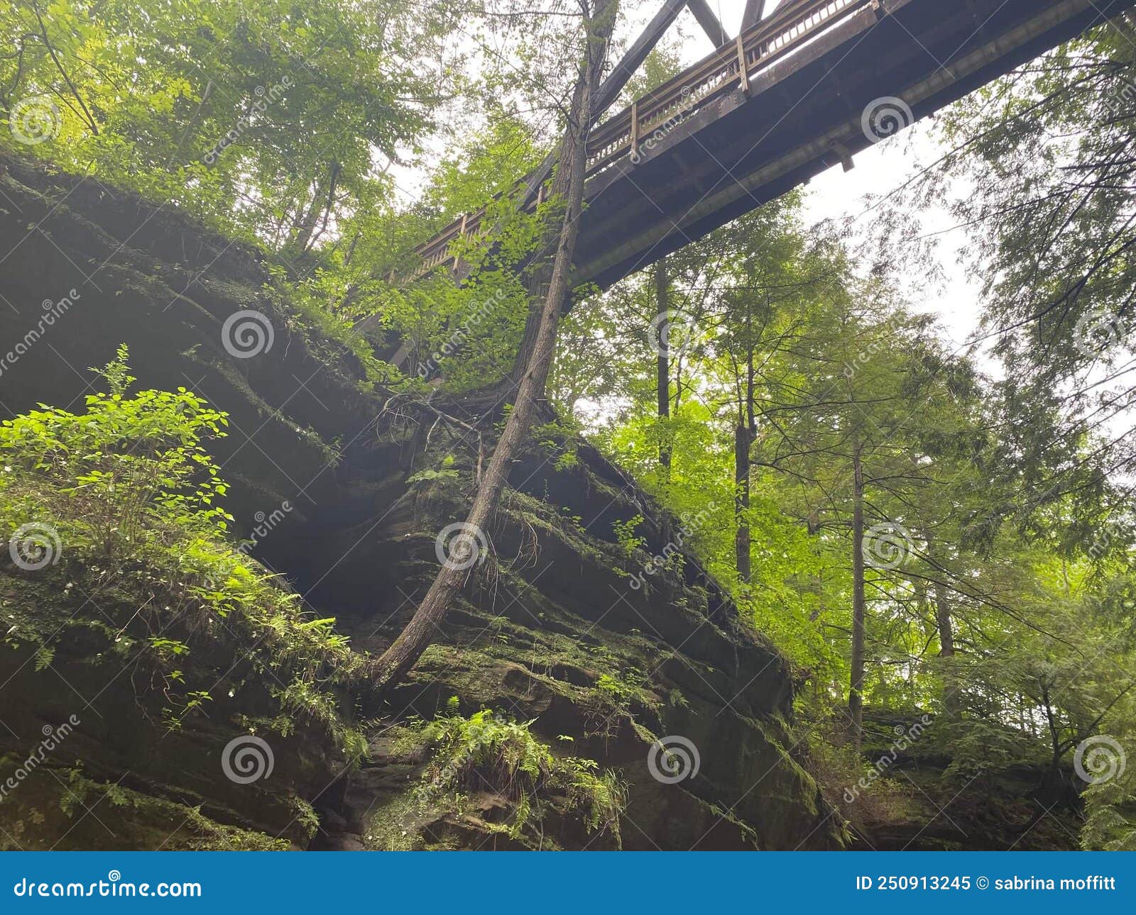 Bridge rocks outdoors stock image. Image of nature, rocks - 250913245