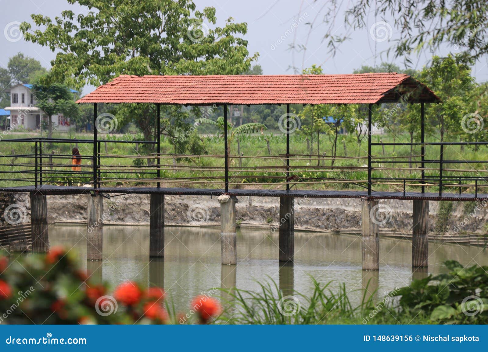 Bridge with Rooftop Small Ponds Going Over Just Simple Bridge for House ...