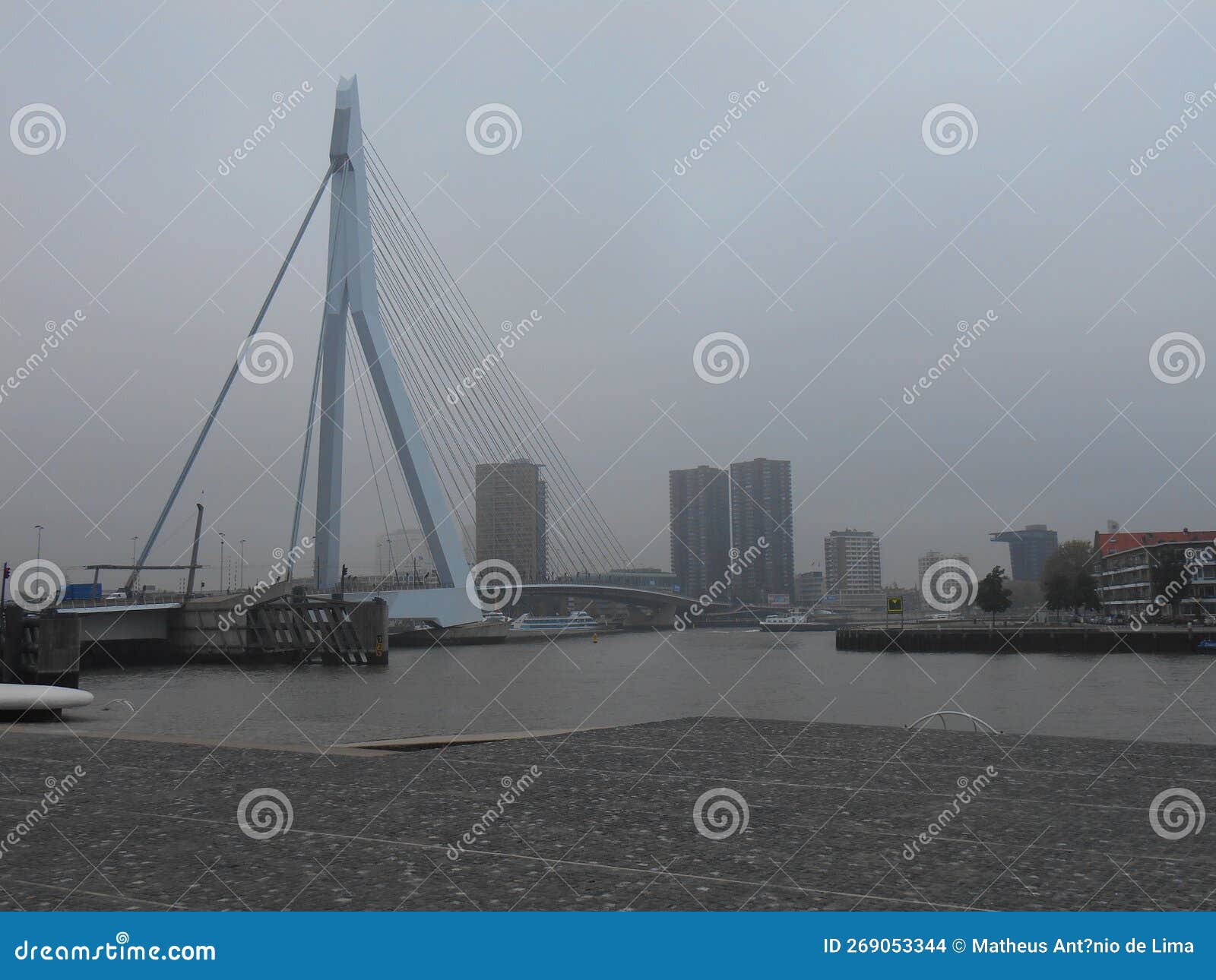 Bridge in Rotterdam Netherlands Europe Editorial Stock Image - Image of ...