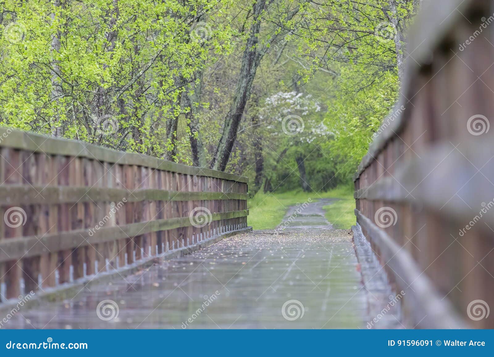 Bridge on a Rural Road stock image. Image of creek, absence - 91596091