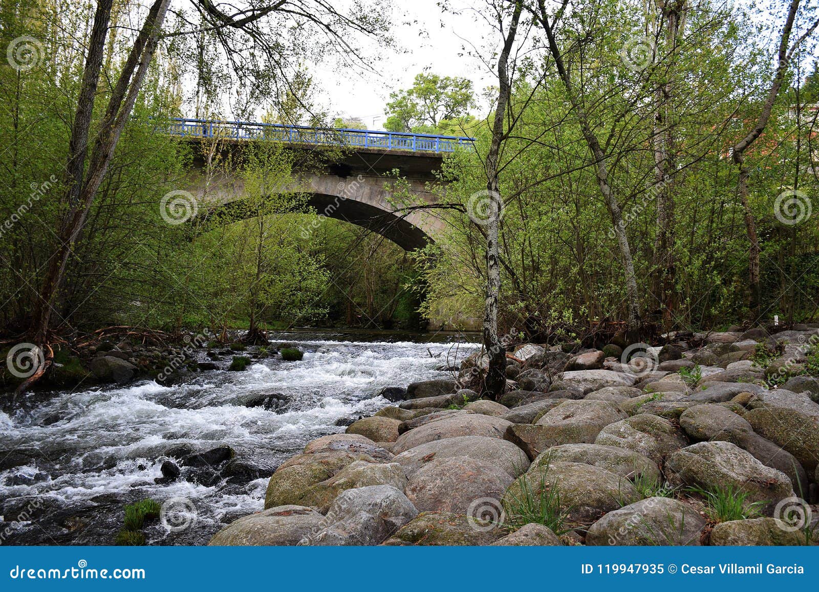 Bridge with a Semicircular Arch Stock Image - Image of arch, history ...