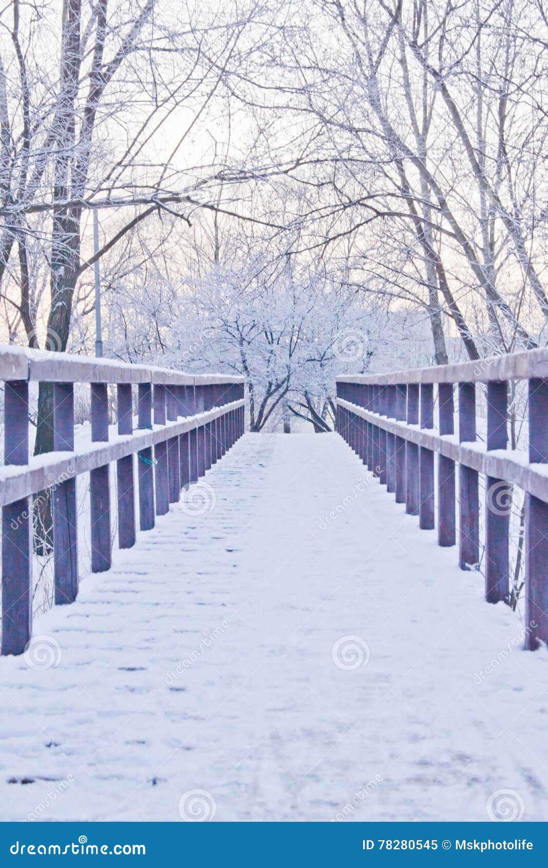 Bridge in the Snow on Winter Day Stock Image - Image of branch, suburbs ...