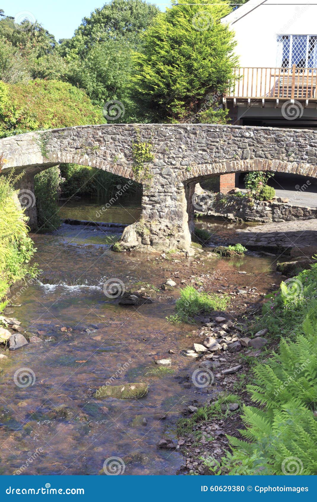 Bridge in Somerset, UK stock photo. Image of british - 60629380