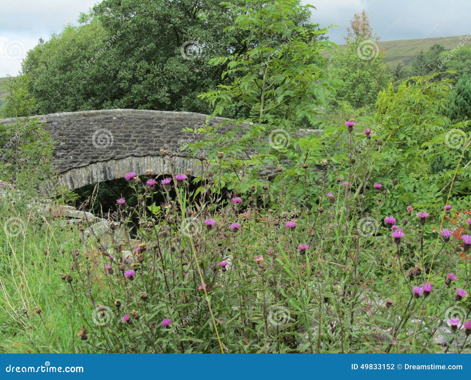 The Bridge in Spring from the Meadow Stock Photo - Image of flowers ...
