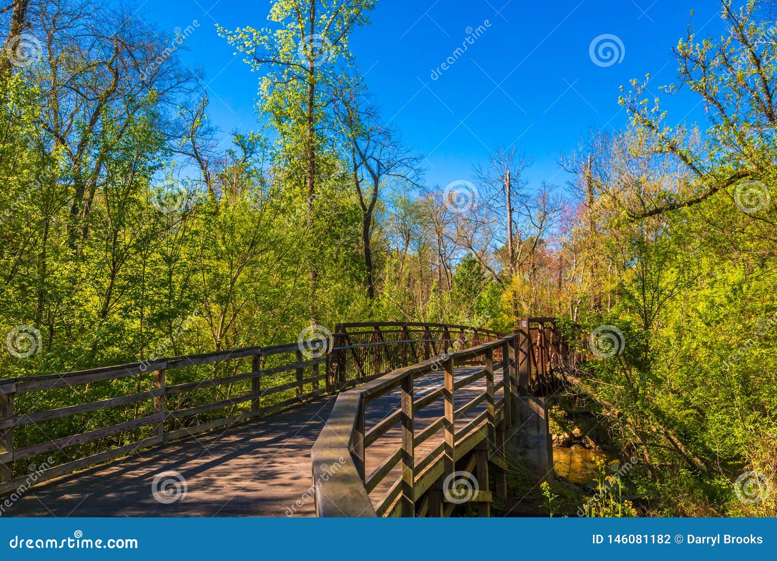 Bridge in the Spring stock photo. Image of trees, sport - 146081182