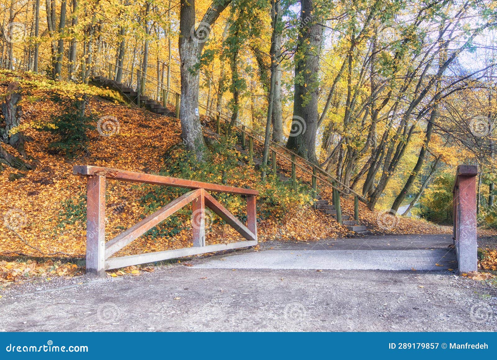 A bridge with a stairs stock image. Image of tree, sunlight - 289179857
