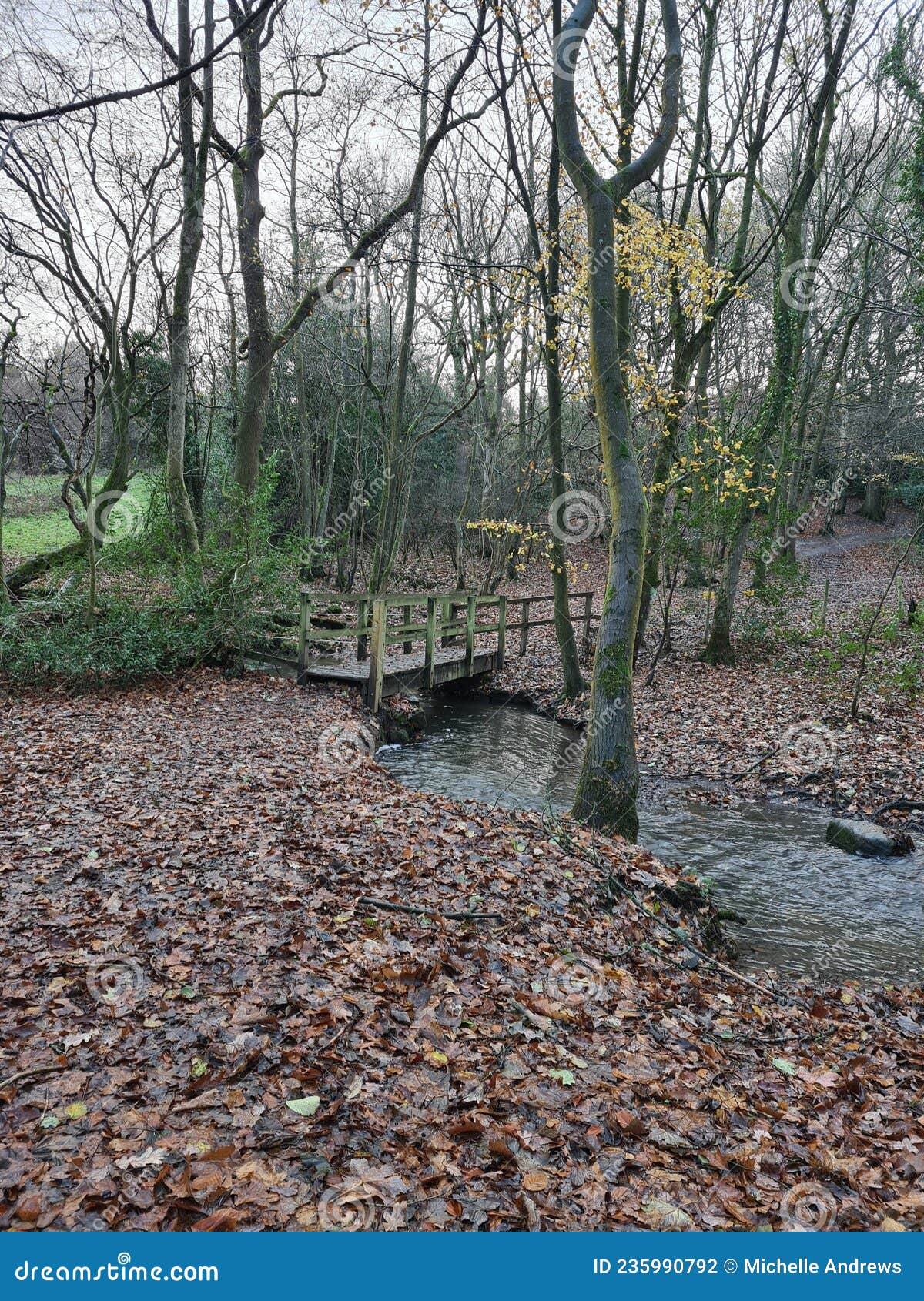 A Bridge and Stream Winter Forest UK Yorkshire Stock Photo - Image of ...