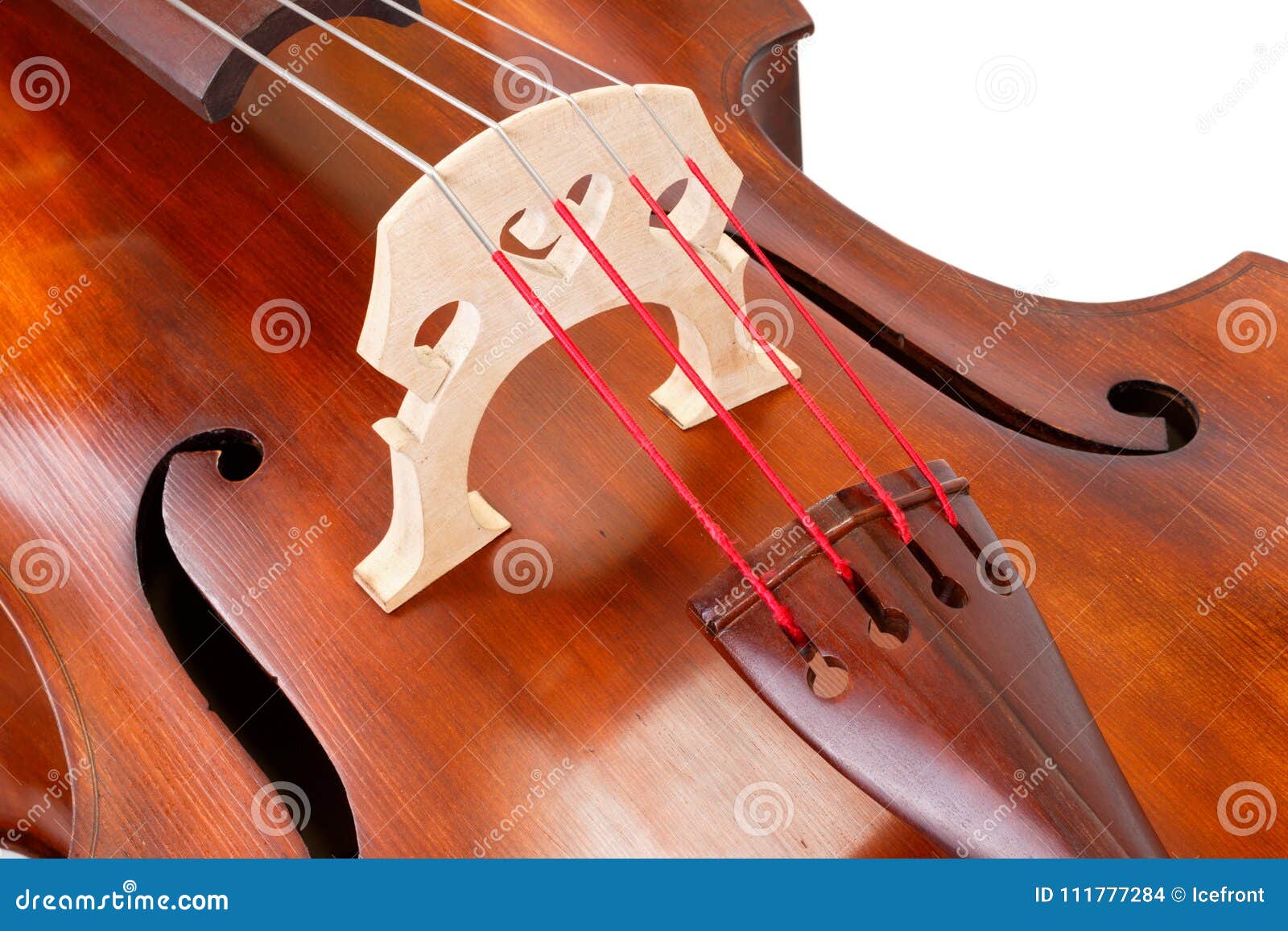 Bridge and Strings on a Contrabass Stock Photo - Image of jazz, music ...