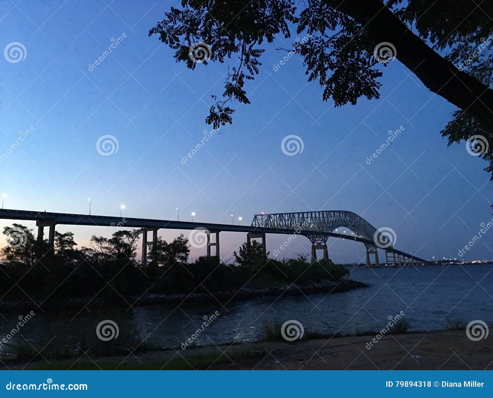 Bridge at sunset stock photo. Image of sunset, bush, tree - 79894318
