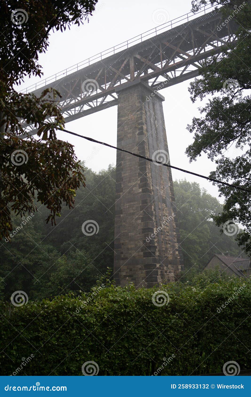Bridge Surrounded by Dense Trees in Rainy Day Stock Photo - Image of ...