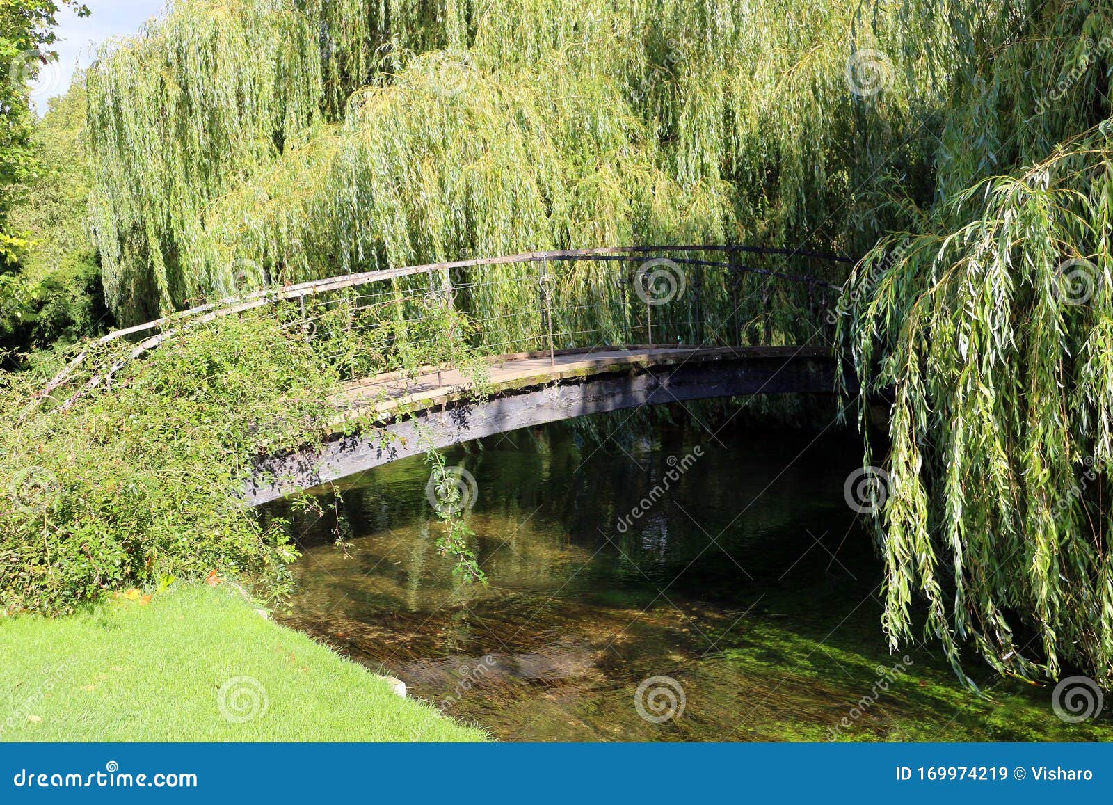 Bridge Surrounded by Weeping Willows Stock Image - Image of outdoors ...