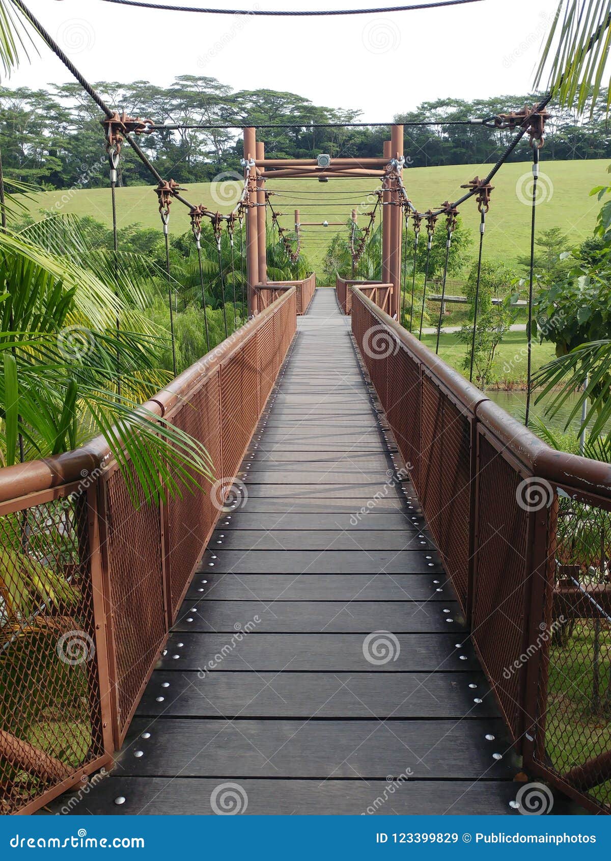 Bridge, Suspension Bridge, Walkway, Path Picture. Image: 123399829