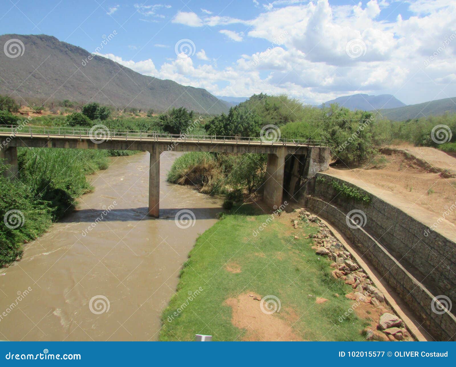 A bridge stock image. Image of bridge, park, tanzania - 102015577