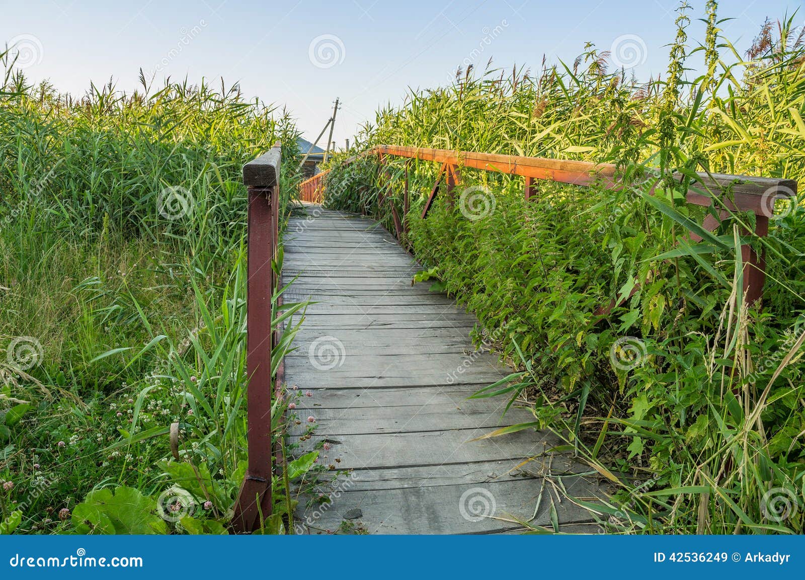 Bridge stock image. Image of leaves, railing, footpath - 42536249