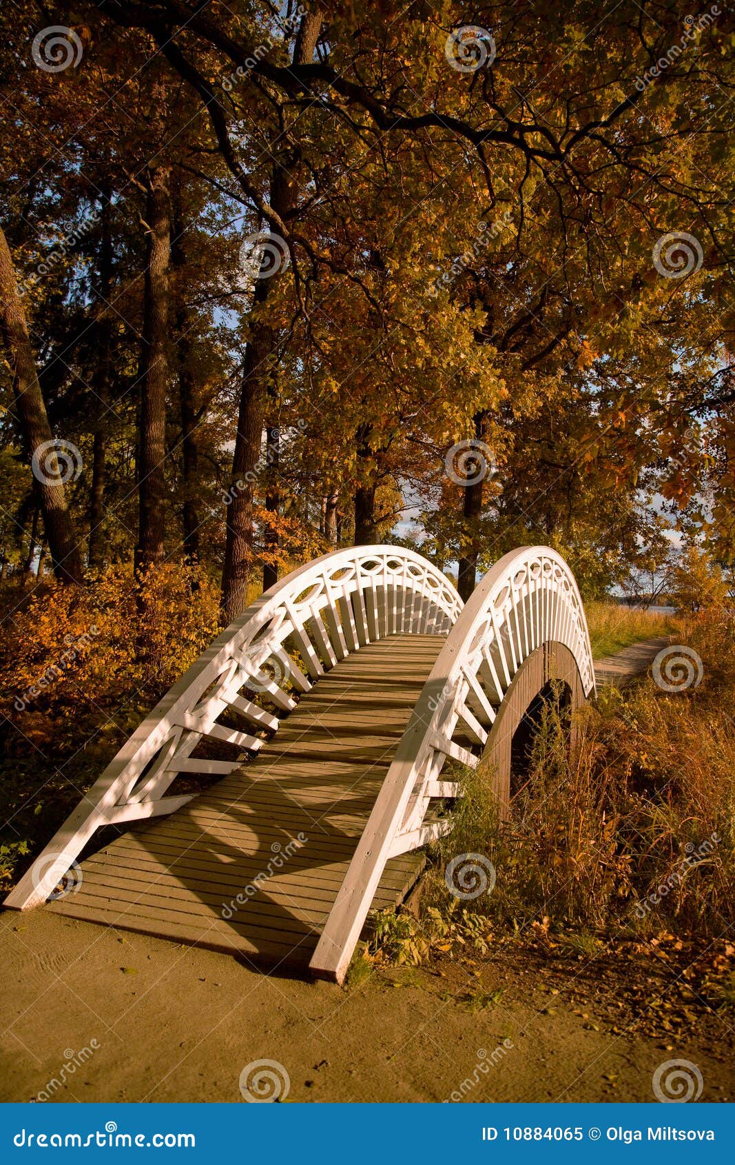 Bridge to autumn stock image. Image of environment, freshness - 10884065
