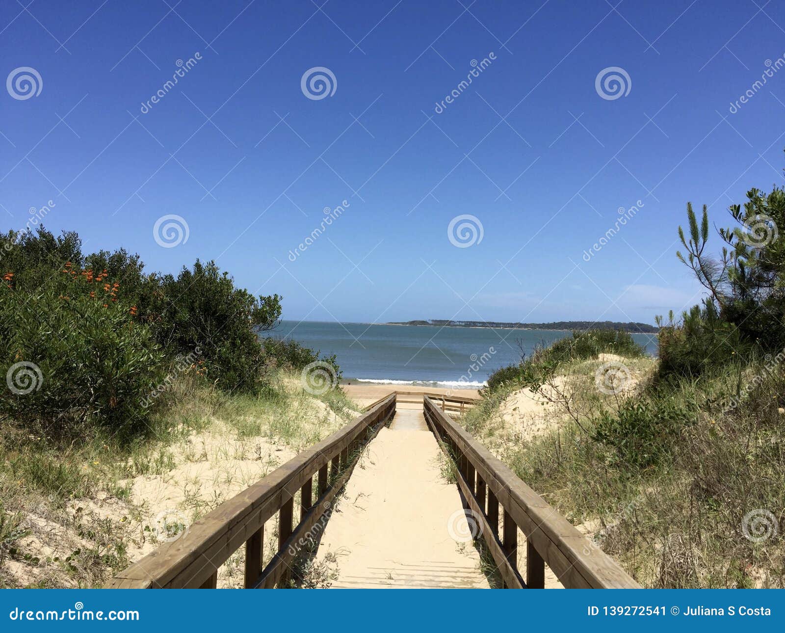 Bridge to the beach stock image. Image of wood, nice - 139272541
