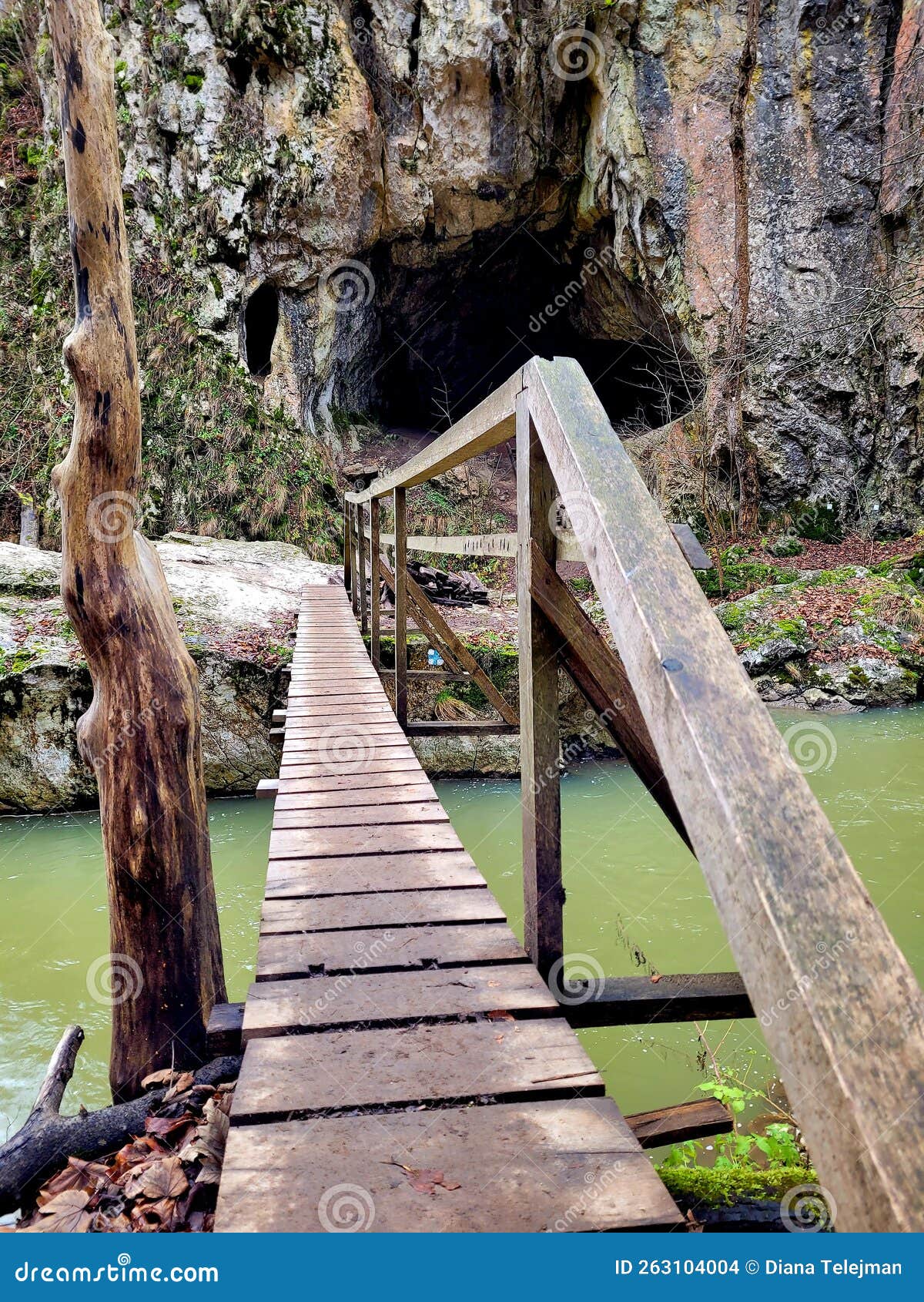 Bridge to cave stock photo. Image of forest, water, nature - 263104004