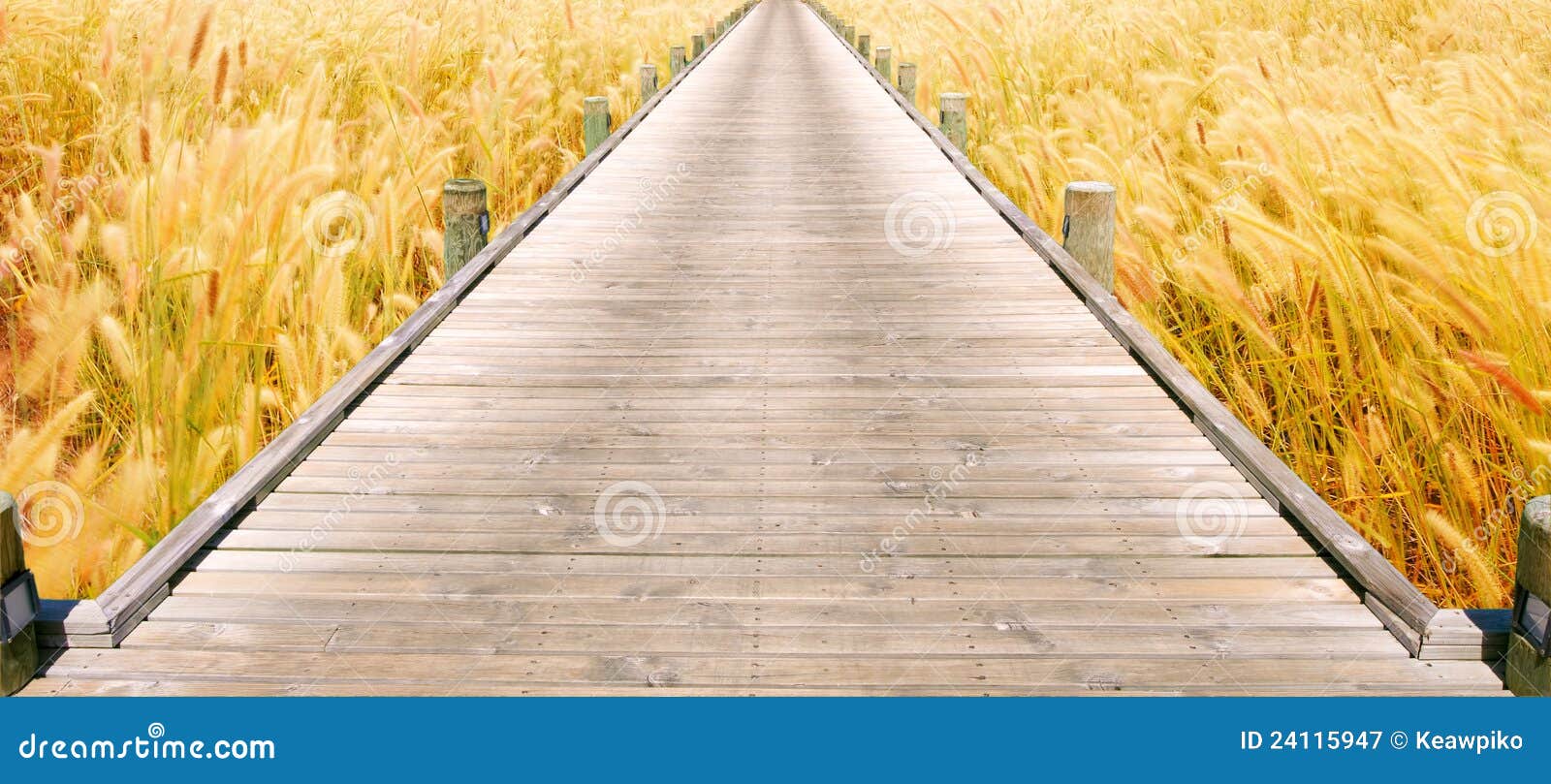 Bridge To Over the Grass Field Stock Image - Image of nature, orange ...