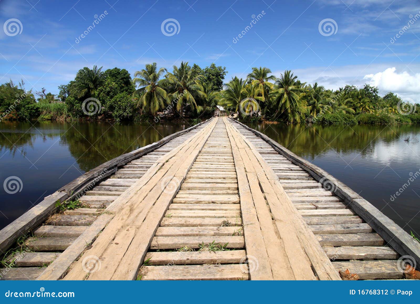 Bridge to paradise stock photo. Image of beautiful, adventure - 16768312