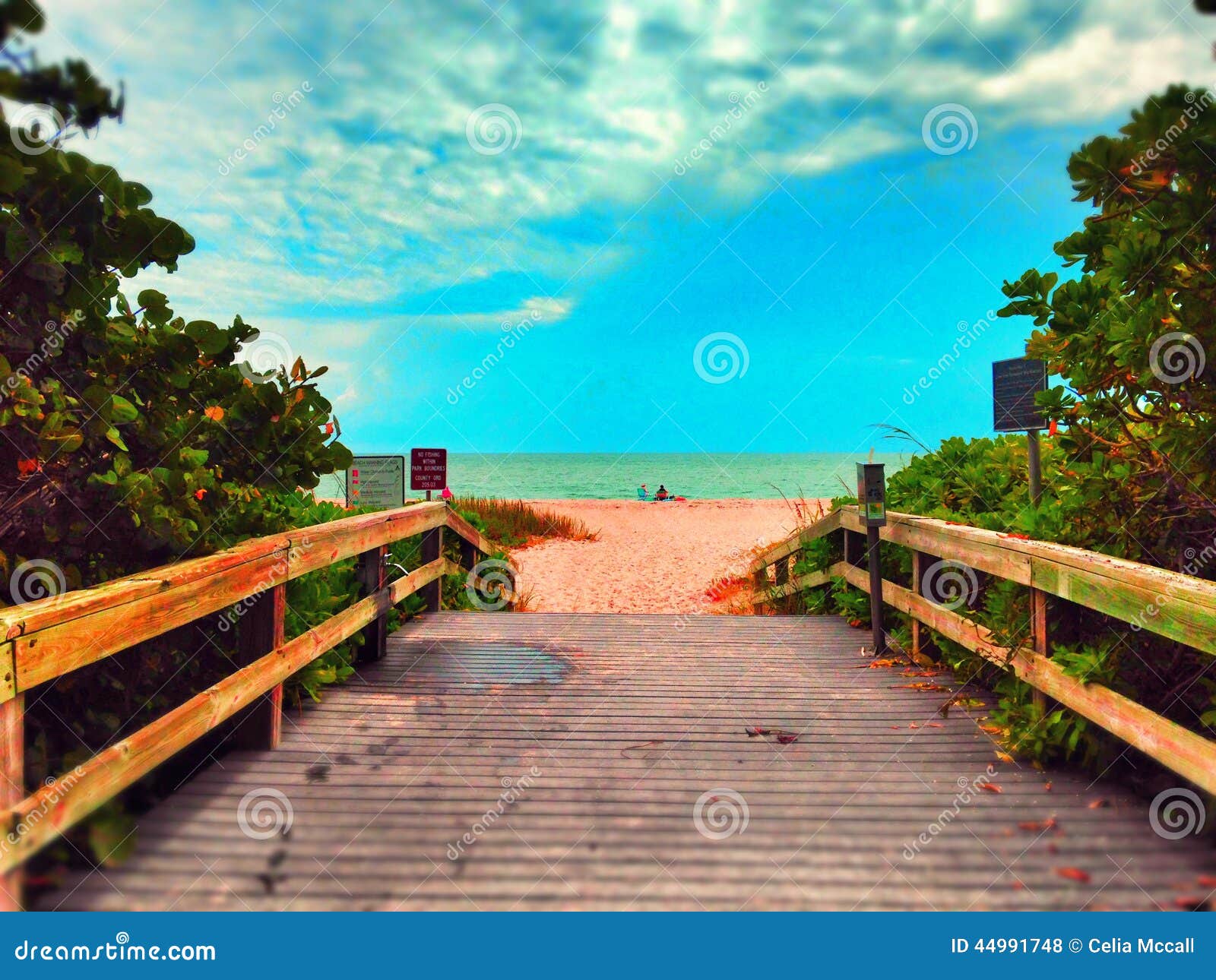 Bridge to the Sea stock photo. Image of vero, bridge - 44991748