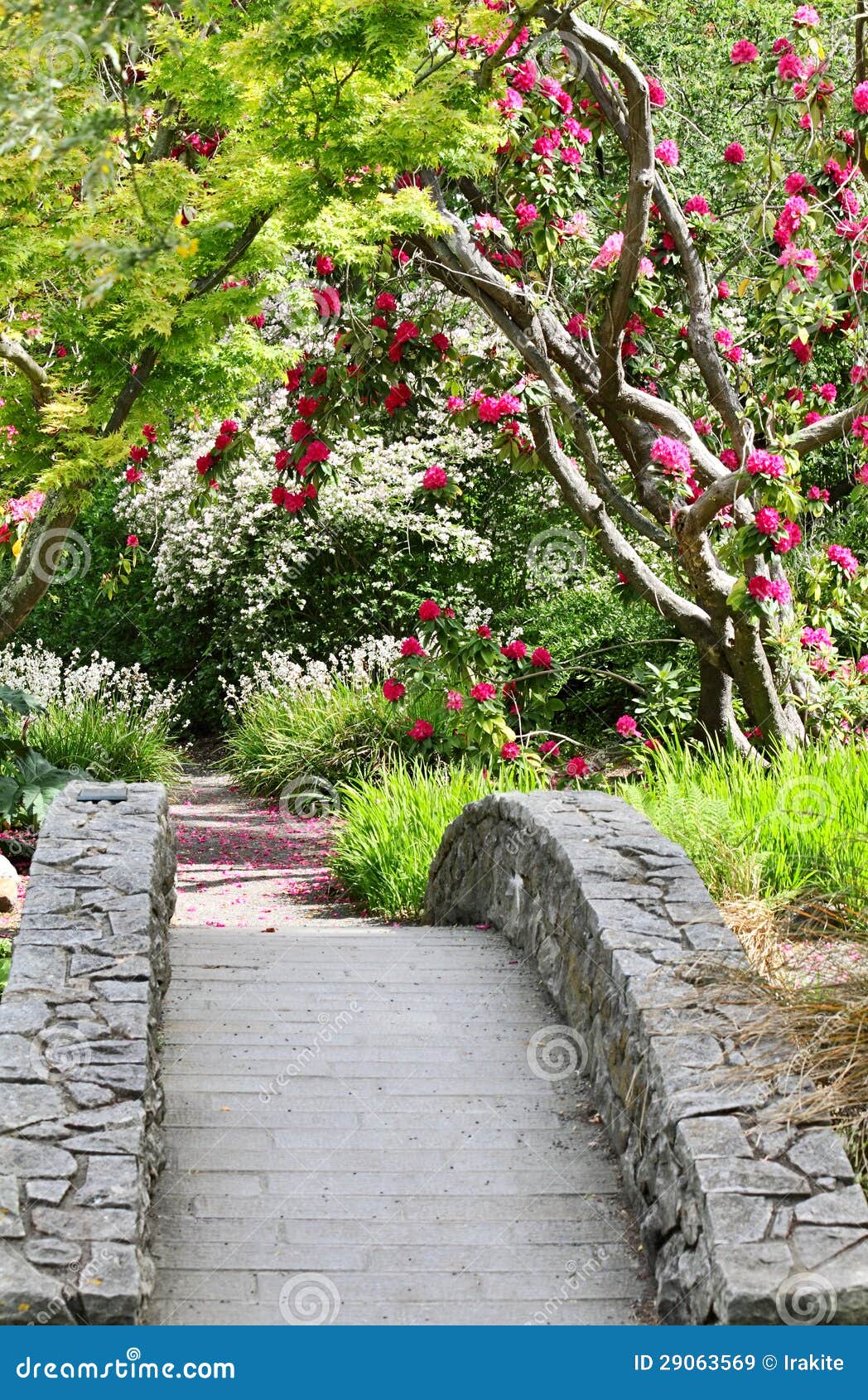 Bridge to spring stock image. Image of relaxation, scene - 29063569