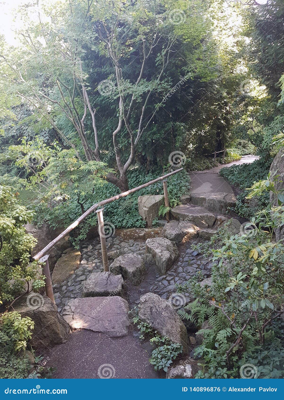 Bridge, Track in the Forest from Stones Stock Photo - Image of bridge ...