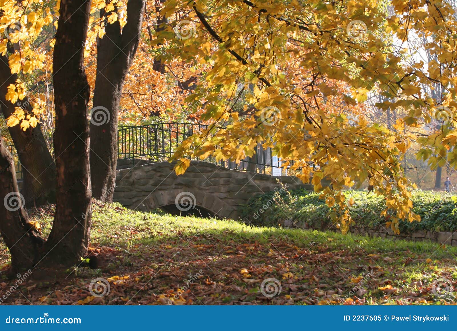 Bridge and trees stock image. Image of bridge, leaves - 2237605