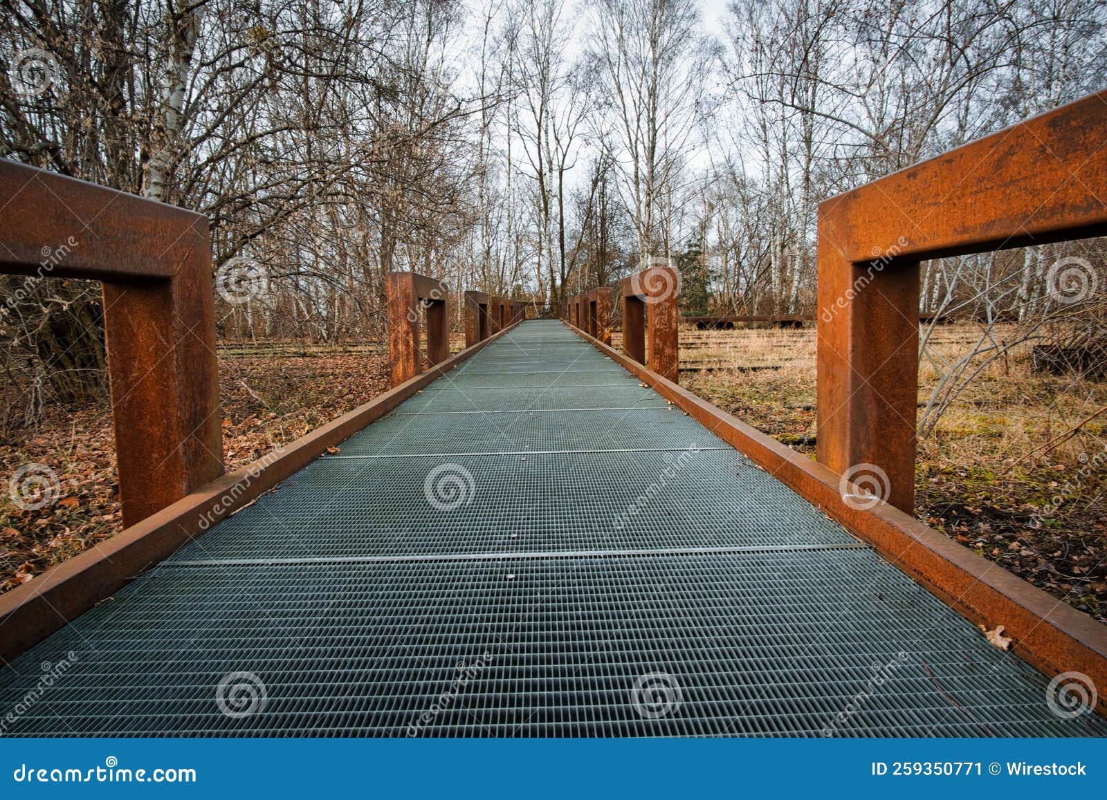 Bridge through Trees Leading To the Fall Forest Stock Image - Image of ...