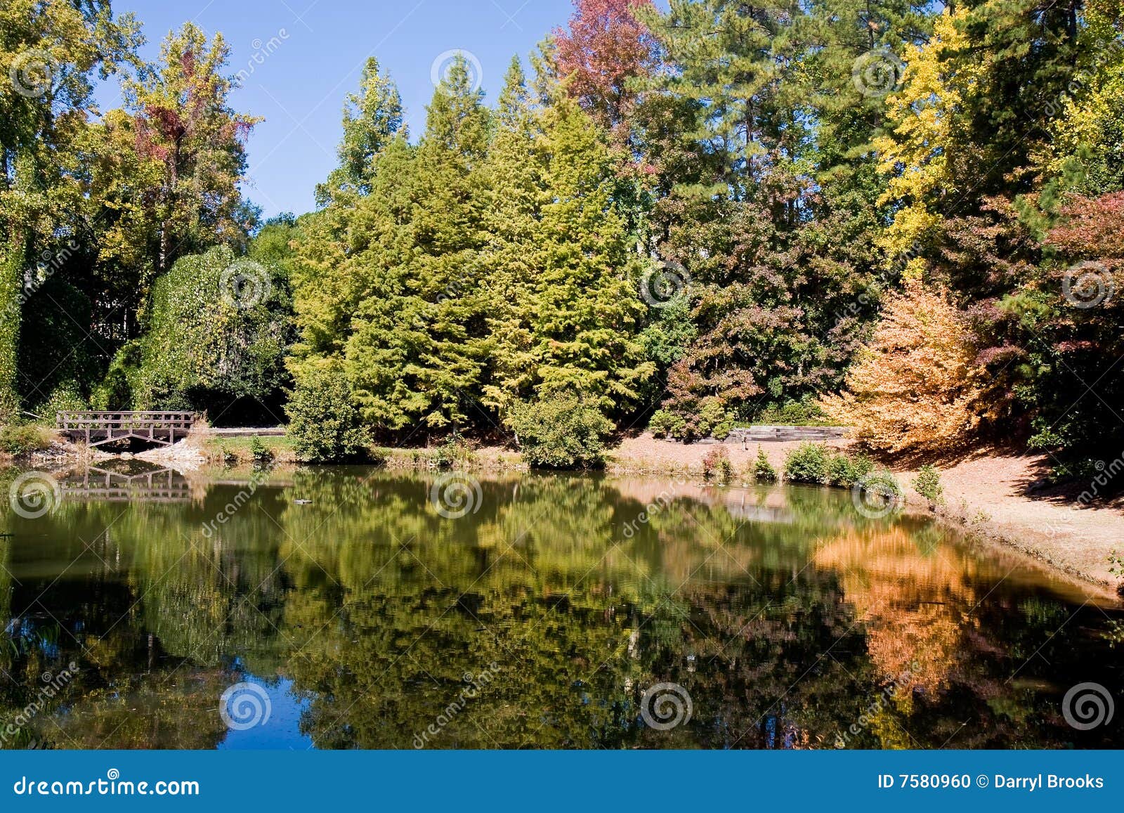 Bridge and Trees Reflection Stock Photo - Image of park, tree: 7580960