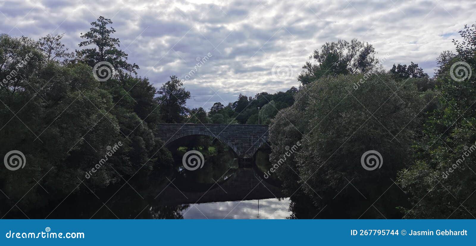 Bridge and Trees stock photo. Image of flower, reservoir - 267795744