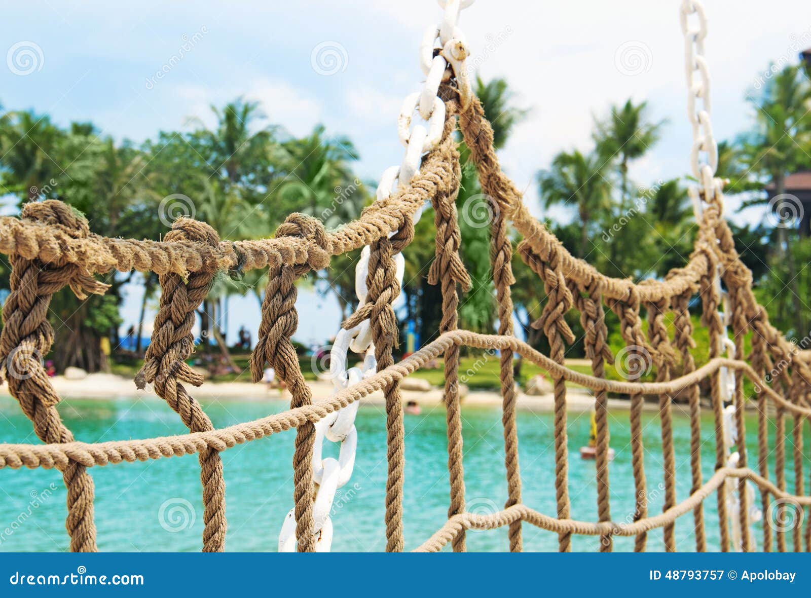 Bridge on the Tropical Island Stock Image - Image of australia, bridge ...