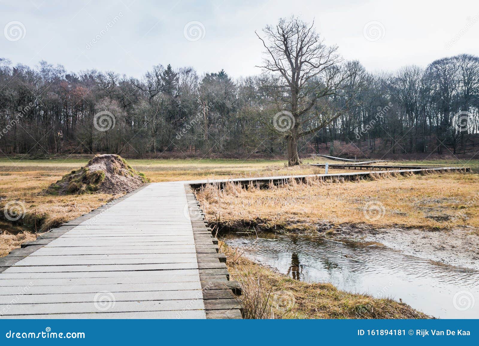 Bridge Trough an Landscape in the Netherlands. Stock Image - Image of ...