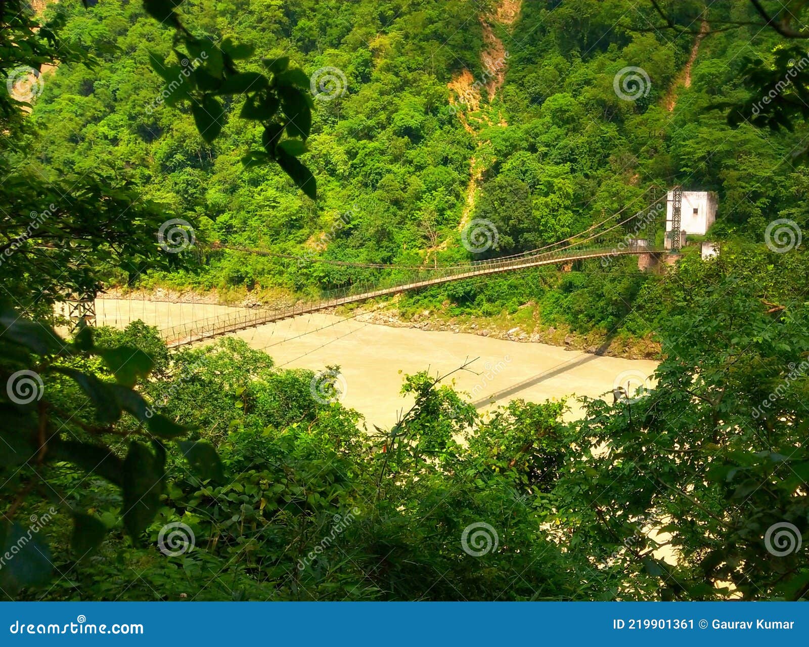 A Bridge between Two Mountains Stock Image - Image of woodland, jungle ...