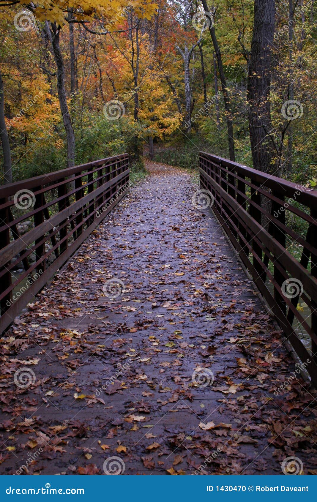 A Bridge Under Autumn Leaves Stock Photo - Image of autumn, bridge: 1430470