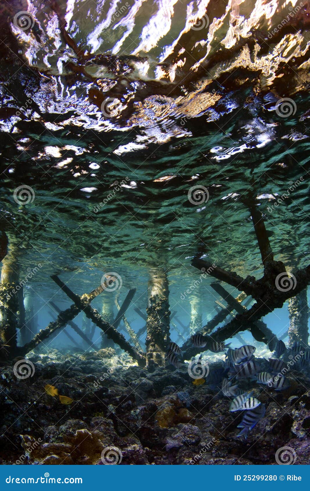 Bridge underwater stock photo. Image of wooden, abstract - 25299280
