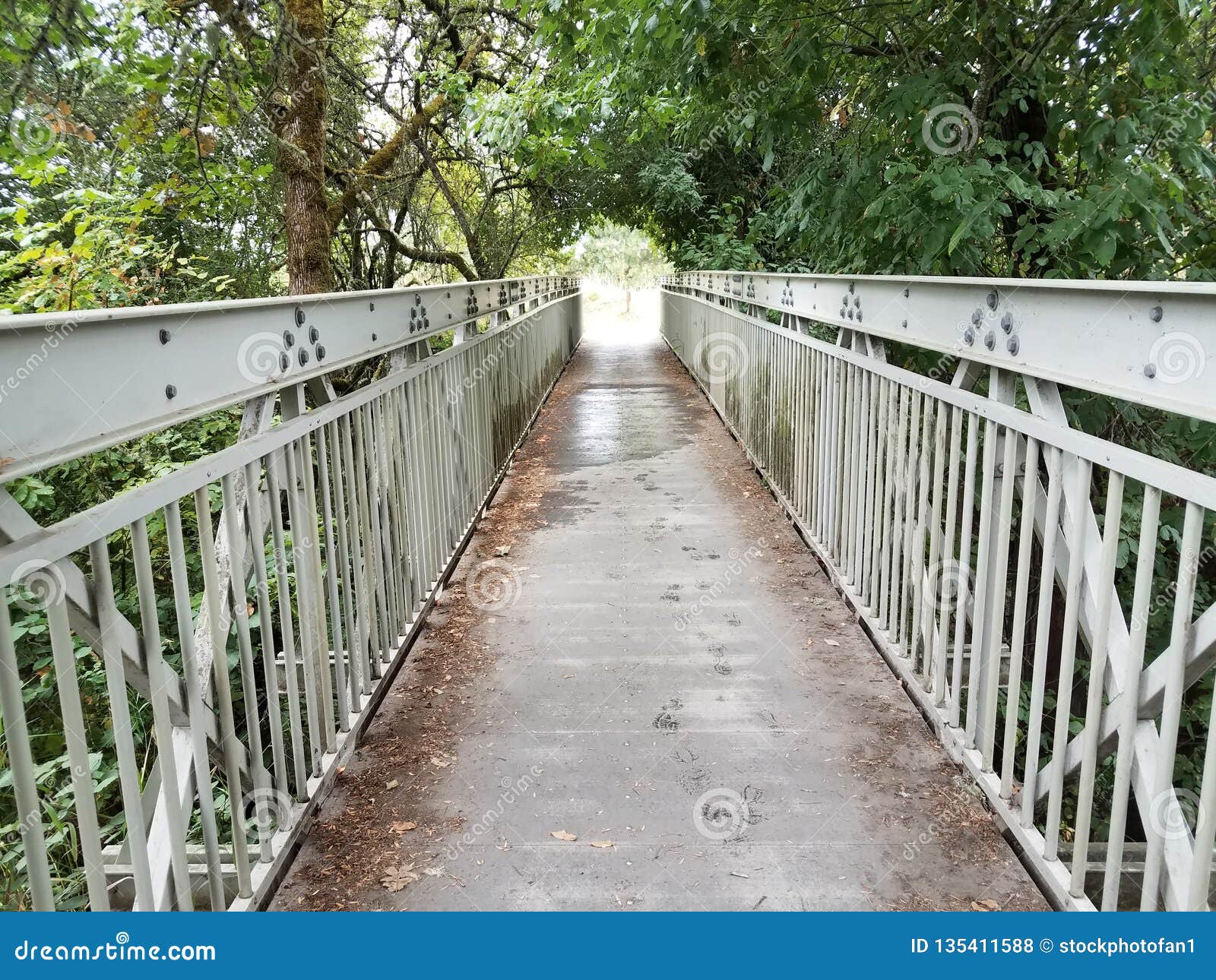 Bridge Walkway or Path with Railing and Brown Leaves Stock Photo ...