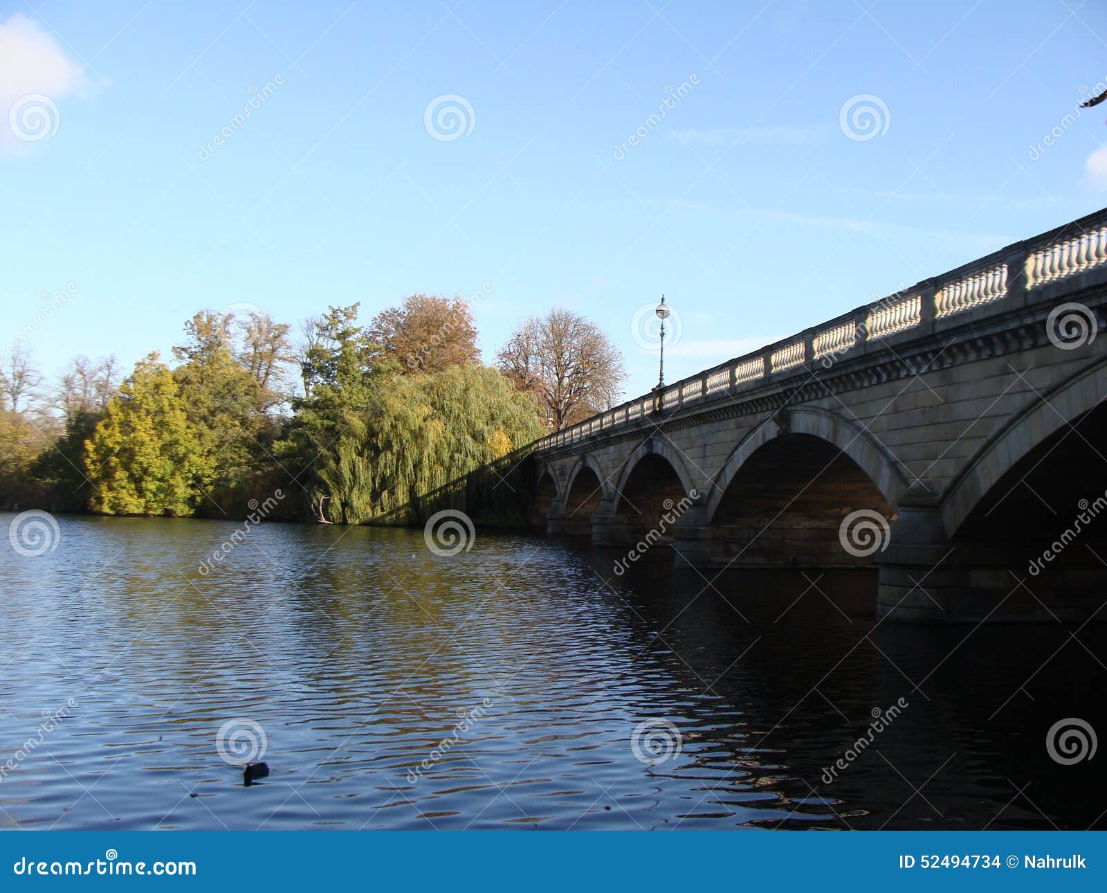 A bridge into the water... stock photo. Image of trees - 52494734